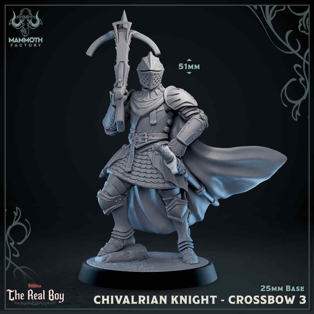 Chivalrian Crossbow Knight 3 - The Real Boy - CT Miniatures UK